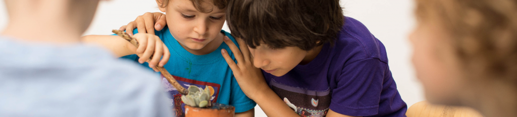 Programs Spark Montessori