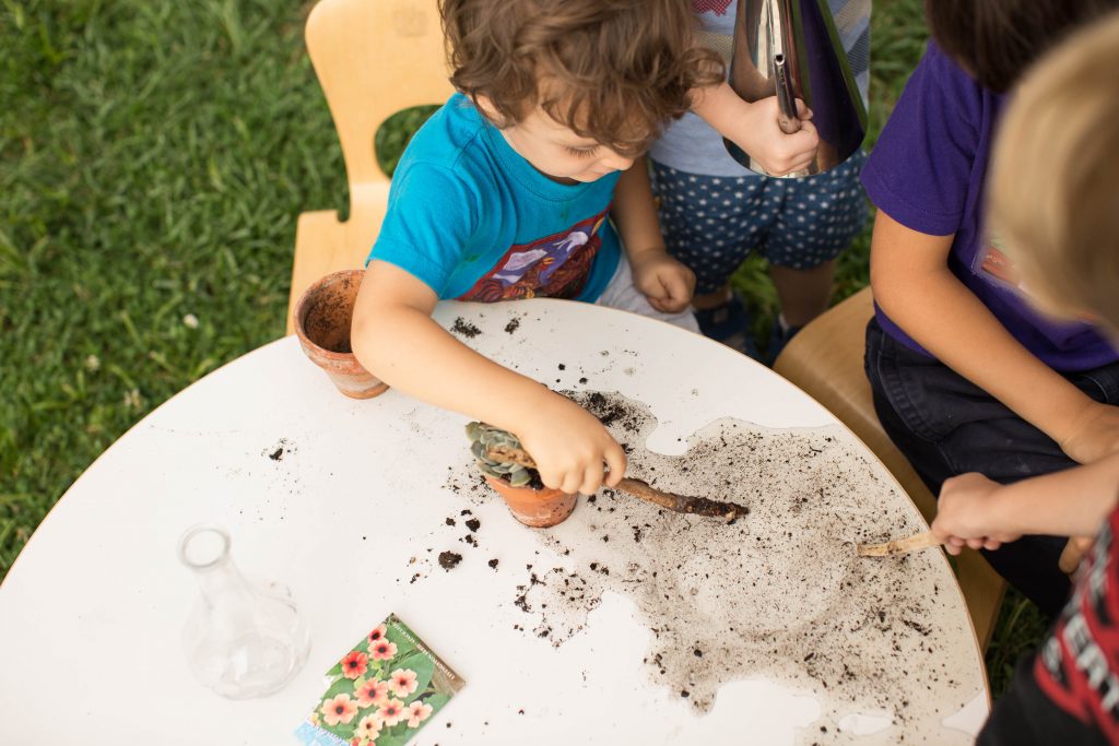 Spark Montessori Early Childhood Education